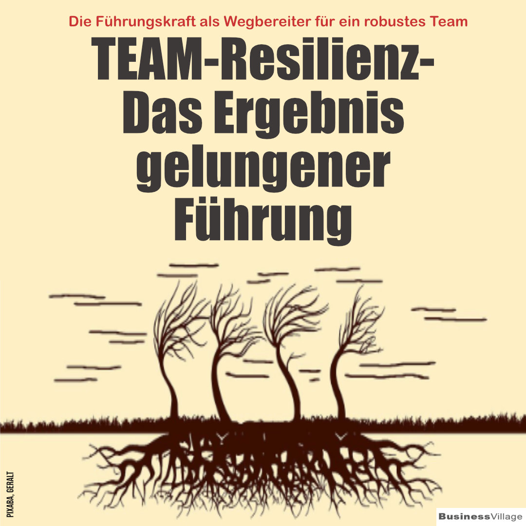 TEAM-Resilienz – Das Ergebnis gelungener Führung - BusinessVillage ...